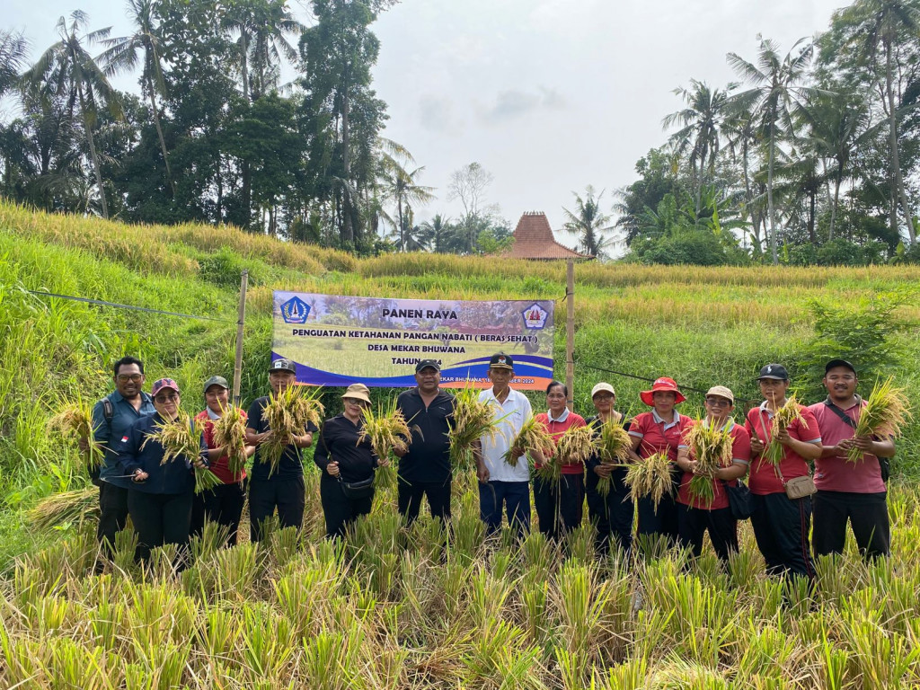 Panen Raya Penguatan Ketahanan Pangan | Desamekarbhuwana Badung